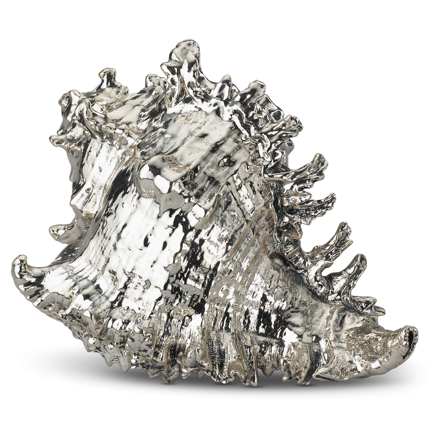 Buccellati Sterling Silver Coated Large Murex Ramosus Shell – Tenenbaum ...